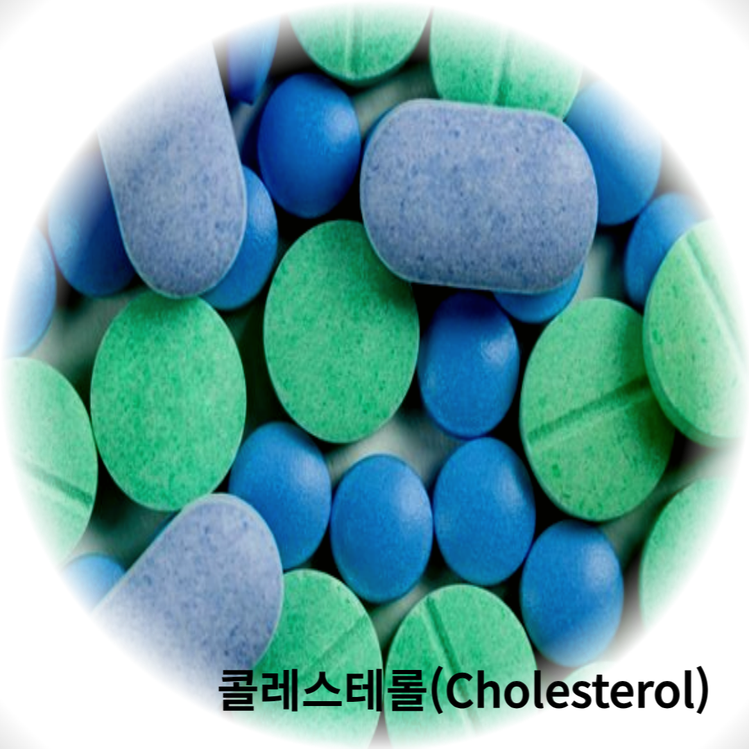 고지혈증 약 부작용 콜레스테롤 약 복용기간