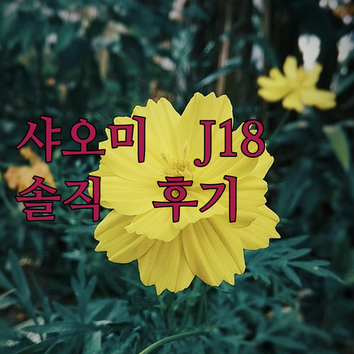 가성비 끝판왕? 샤오미 J18 무선 이어폰, 솔직 후기!