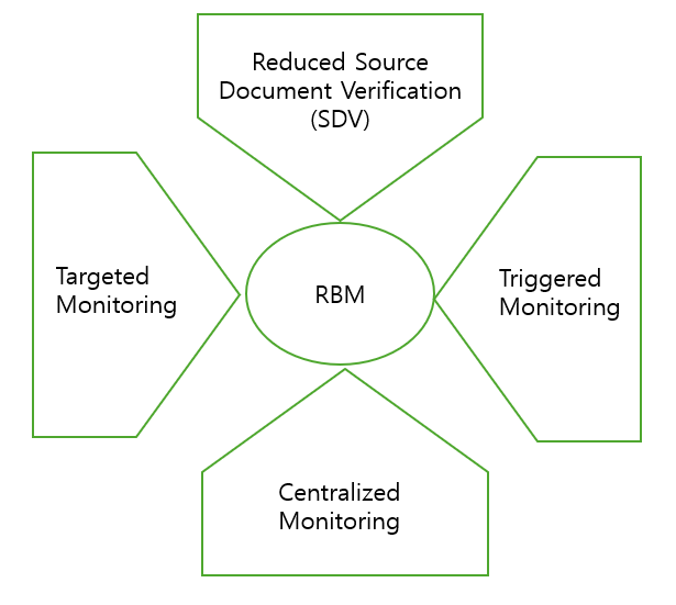 Risk Based Monitoring, RBM
