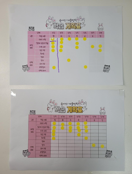 초등학교 1학년 겨울방학 계획 세우기