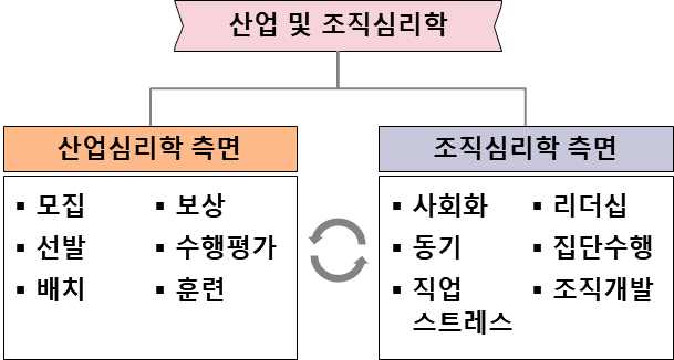 기초 부터 심화까지 요약한 산업심리학 정리 3 산업심리학의 세부 분야
