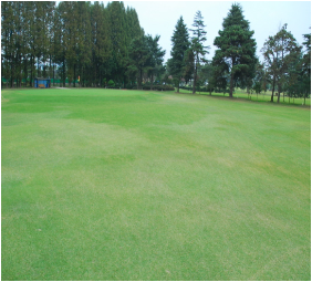 오산공군체력단련장 홈페이지 바로가기 (welfare.airforce.mil.kr:446)