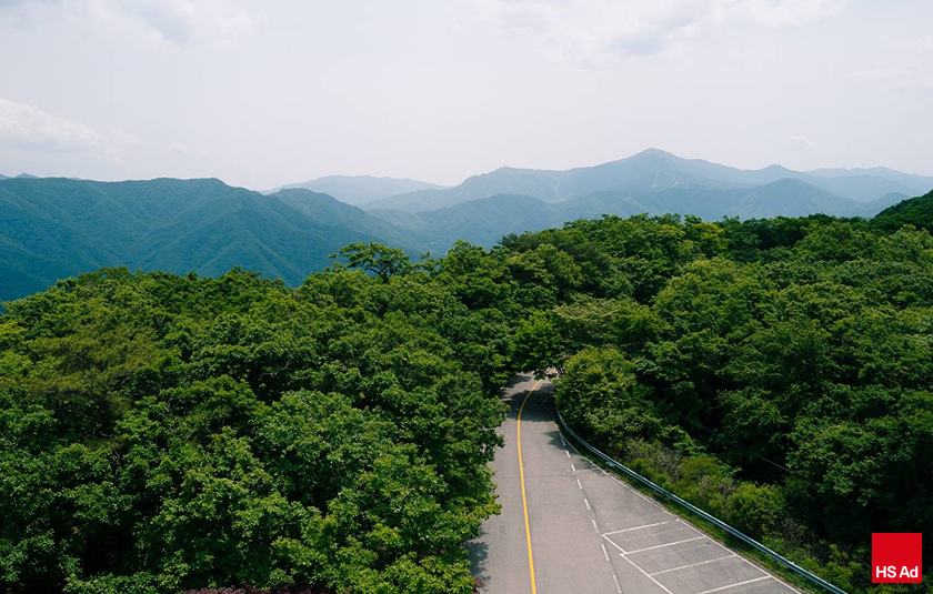 뮤지션 ‘요조의 청춘 에세이 농락당하는 기분 Hsad 공식 블로그 Hsadzine