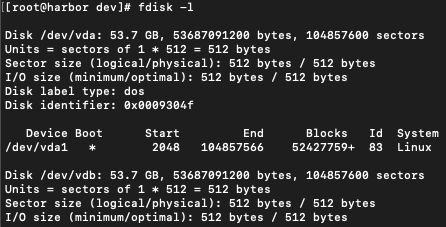 Linux Volume Mount 하는 방법 (vdb fdisk 파티셔닝) — 이로운 개발하기