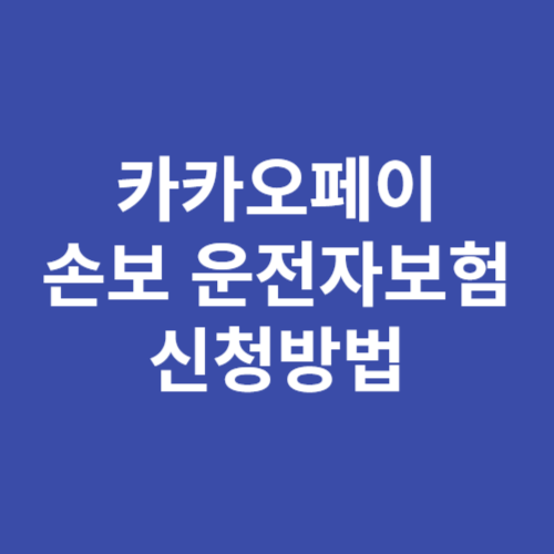 카카오페이손보 운전자보험 신청방법 보험료 이코노미 뉴스