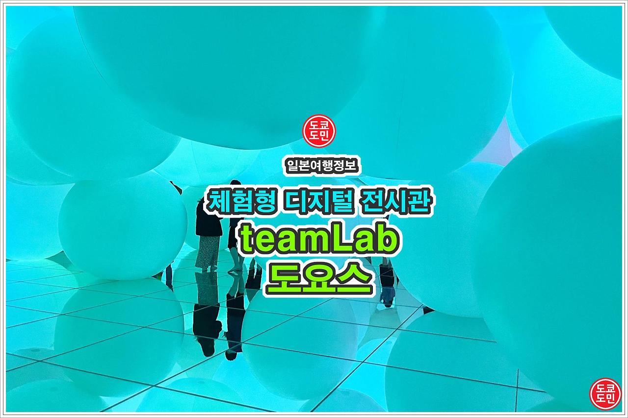 도쿄 볼거리 - "teamLab Planets Tokyo" (팀랩 플래닛 도쿄 도요스) 체험형 디지털 전시관