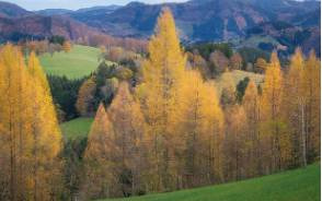 rgss202e.dll 오류 해결 방법