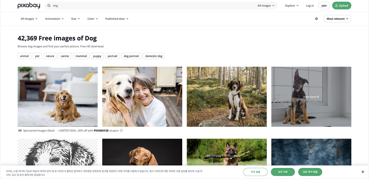 무료이미지, 저작권 없는 스톡 이미지 웹사이트 추천 3탄 - pixabay