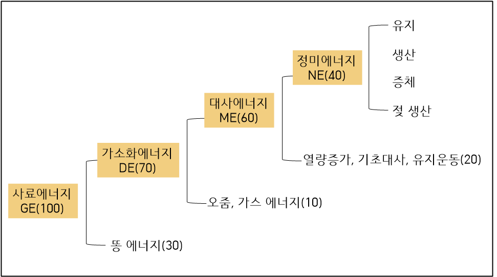 가축사양학 정리9 사료의 영양가치 평가