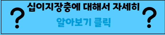 회충약 복용법 구충제 복용법회충약 종류 복용법 효과와 부작용 복용시기 등