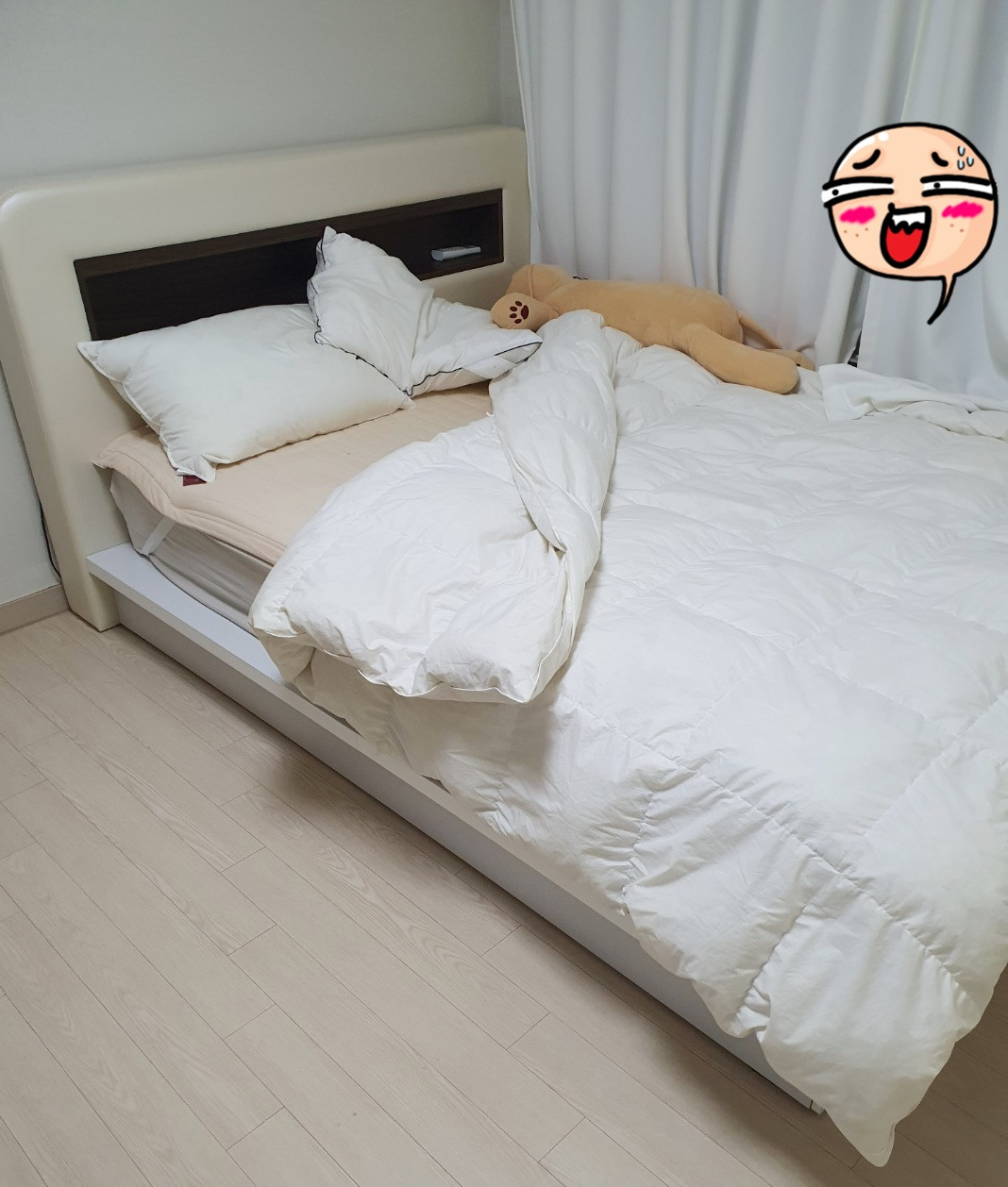 집 먼지 진드기까지 완벽하게 제거하세요