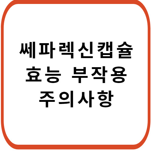쎄파렉신 캡슐은교산 성분 효능 부작용 복용법 및 주의사항