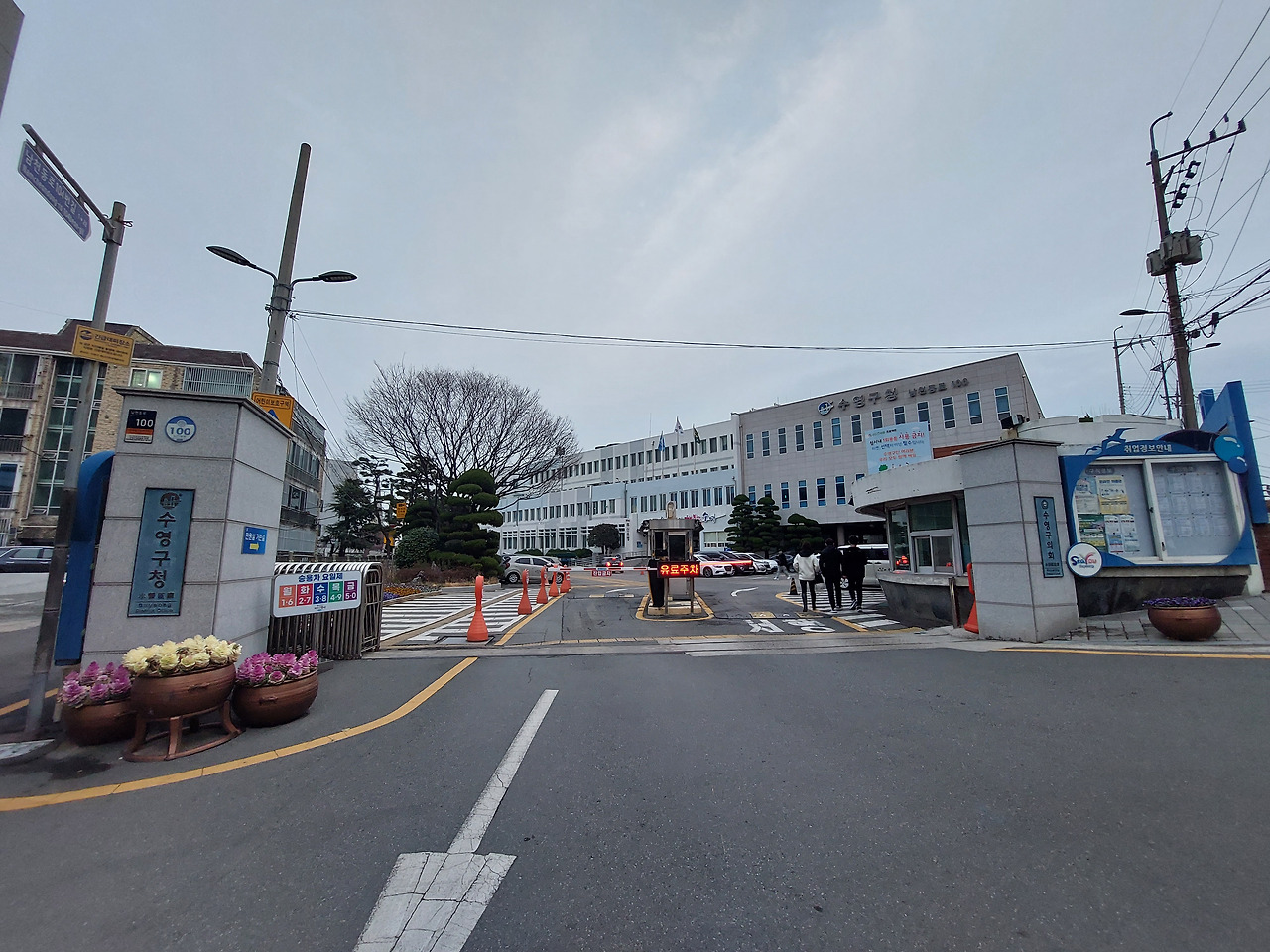 부산 광안리 무료 주차 수영구청 주차장 이용 꿀팁 요금 및 정보최신 5분전 유용한 건강 요리 소식