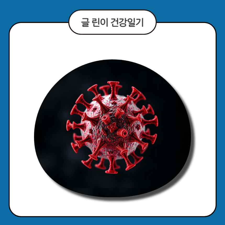 에볼라 바이러스 총 정리