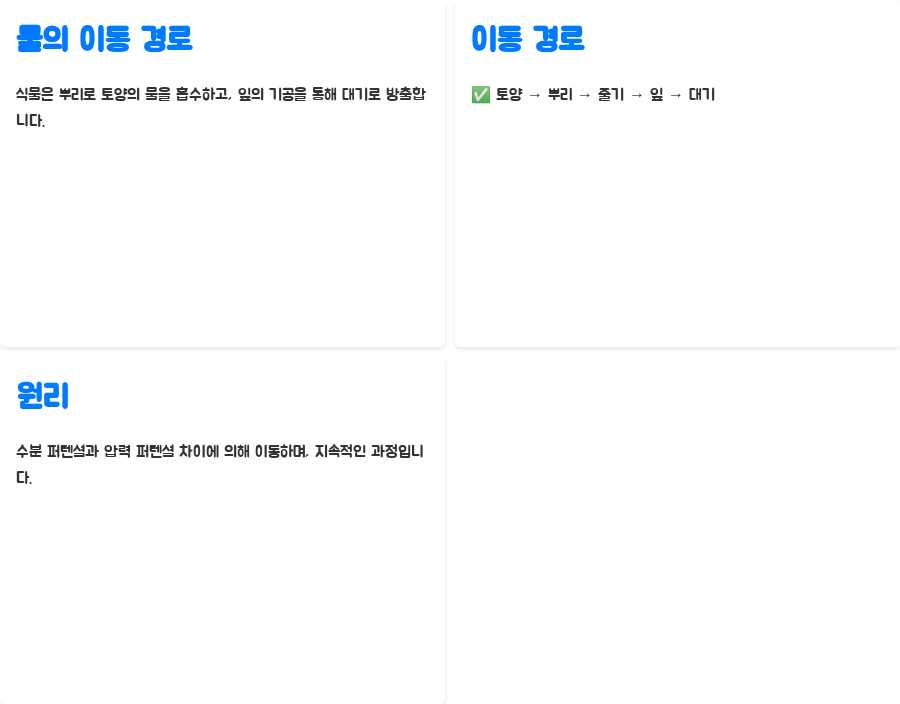 식물학 물관부 물은 어떻게 위로 갈까요