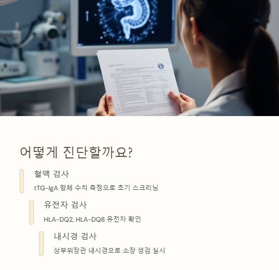 실리악병 뜻 증상 셀리악병 검사 피부발진 가려움 글루텐 치료법 일상 흥미진진