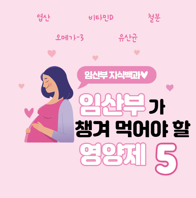 임산부가 임신 시기별 챙겨 먹어야 할 영양제 Top 5의 기능 섭취 시기 고르는 법 관련 음식 알아보기