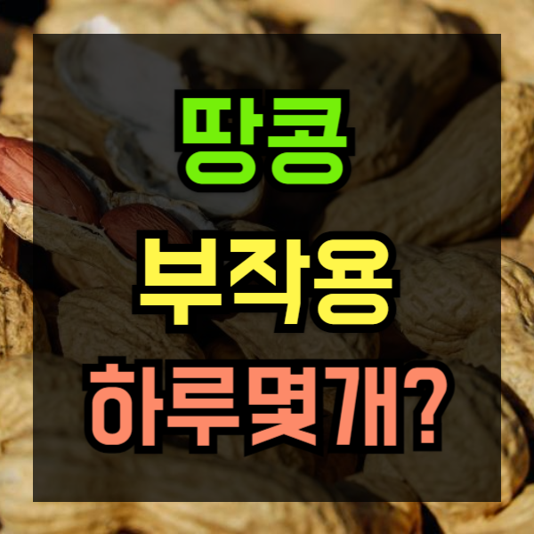 땅콩효능과부작용 땅콩하루섭취량