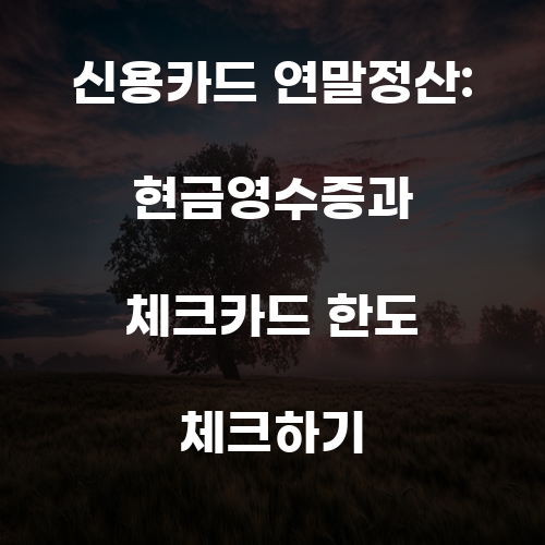 신용카드 연말정산 현금영수증과 체크카드 한도 체크하기