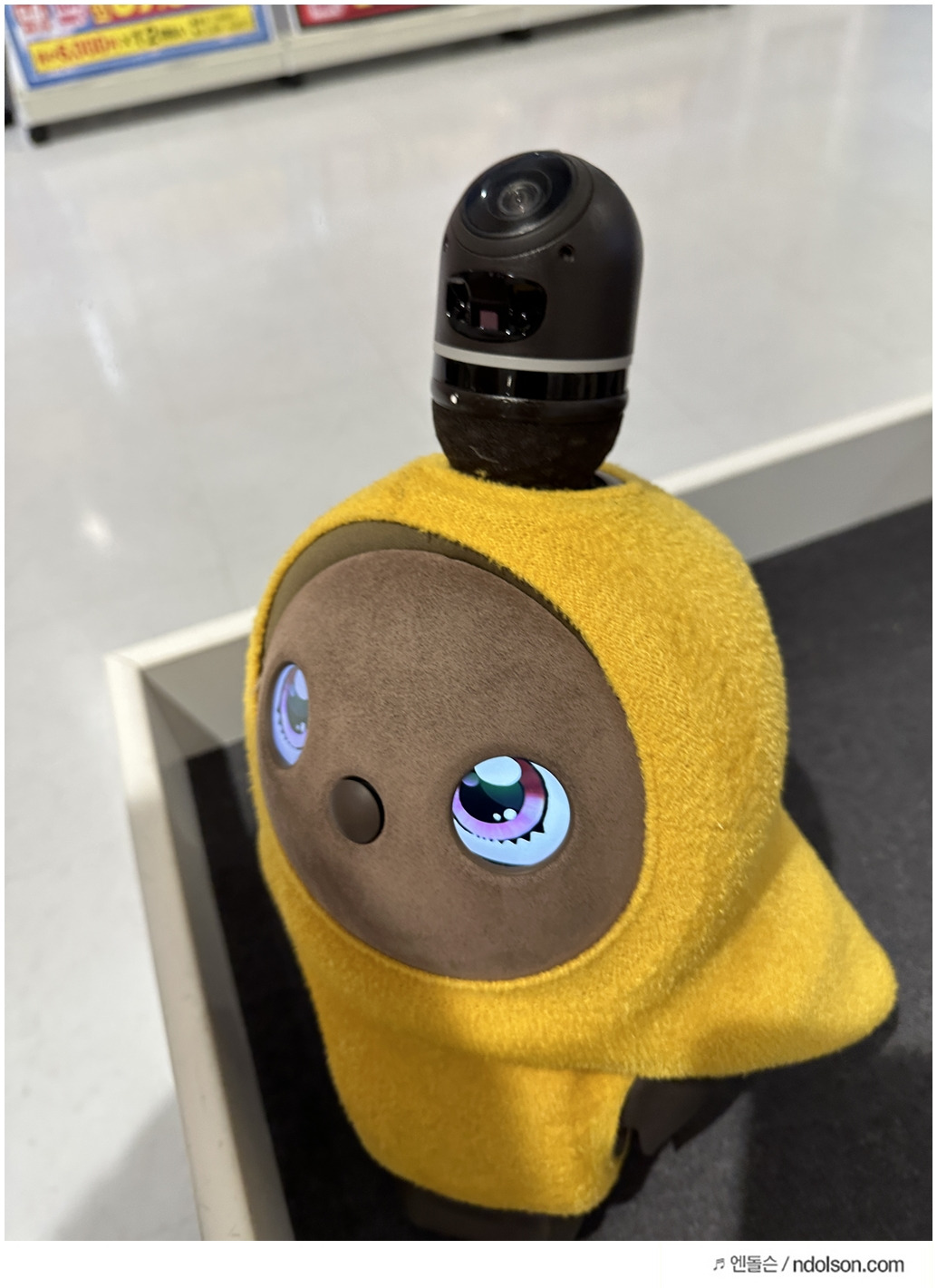 일본 AI인공지능 애완로봇 러봇(LOVOT) 오키나와 이온몰 매장에서 만났네요!