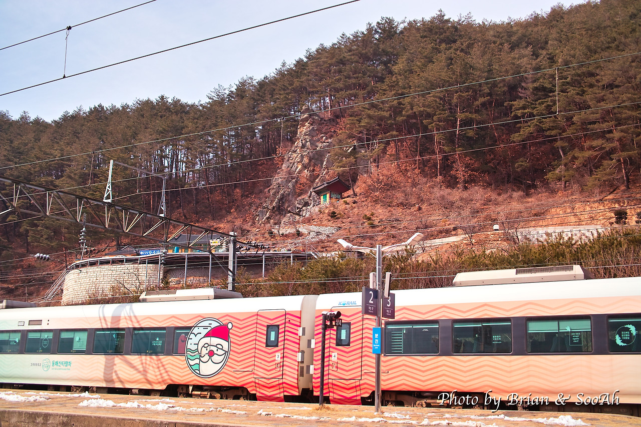 관광열차여행 동해산타열차 왕복 탑승기