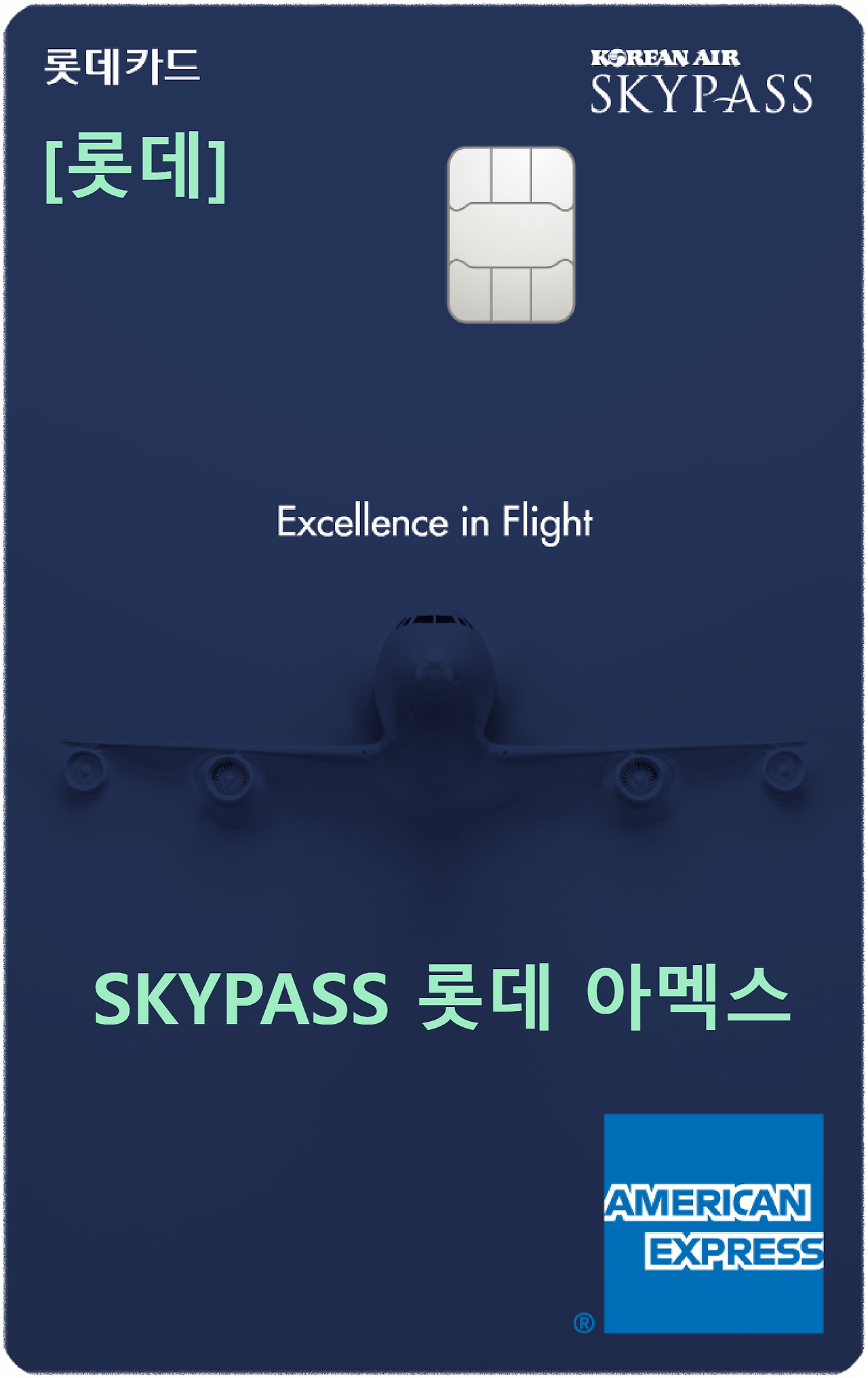 롯데 Skypass 롯데 아멕스카드 일상 재테크 카드 보험 부동산 주식