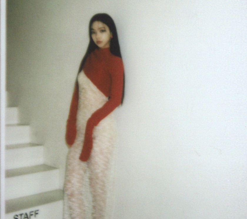 Aespa Karina Figure. Kanina Seethrough Dress 9 Images | KpopCelebs