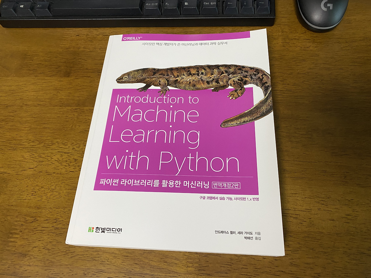 파이썬 라이브러리를 활용한 머신러닝 번역개정2판 책 리뷰