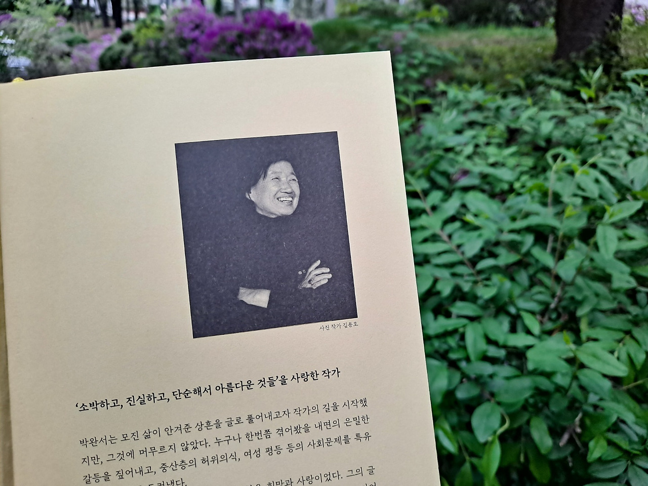 책 읽은 서대문 삶의 진실을 찾아 떠나는 책읽기 작가 박완서의 모래알만 한 진실이라도