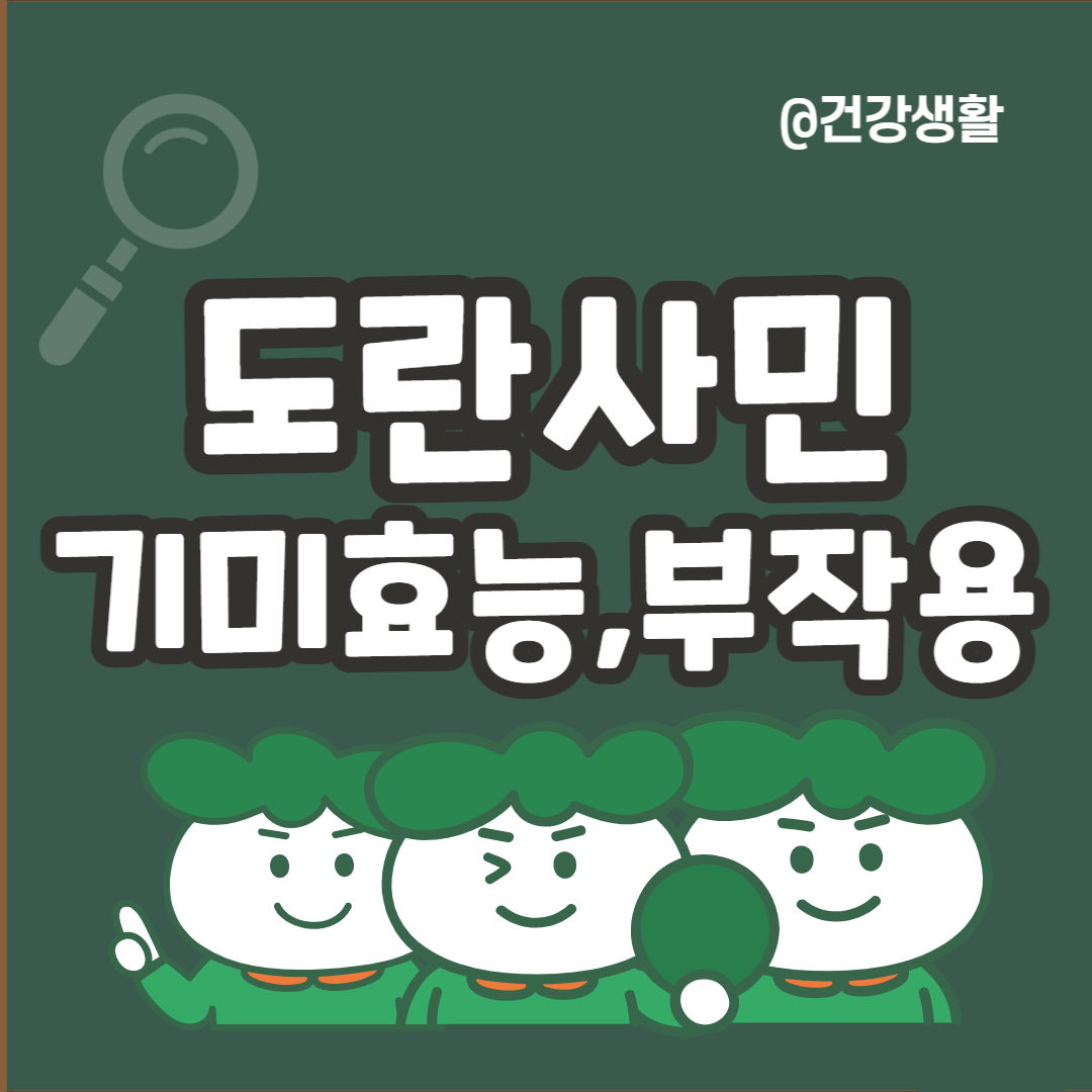 기미 효능 도란사민 부작용 효과 복용법