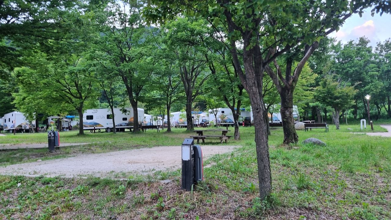 설악산 설악동 캠핑장 야영장 배치도 A영지 국립공원야영장예약 정보