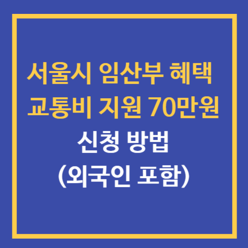 서울시 임산부 혜택 교통비 지원 70만원 신청 방법외국인 포함 부자되는정책생활