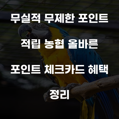 무실적 무제한 포인트 적립 농협 올바른 포인트 체크카드 혜택 정리