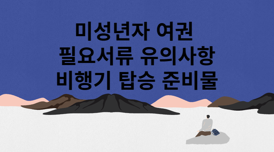 미성년자 여권 발급 유의사항 필요서류 비행기 탑승 서류