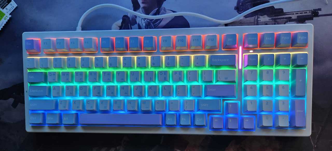 조약돌 소리 키보드 - 웨이코스 씽크웨이 X VGN TV99 유무선 99배열 기계식 키보드 ( 내돈내산 )