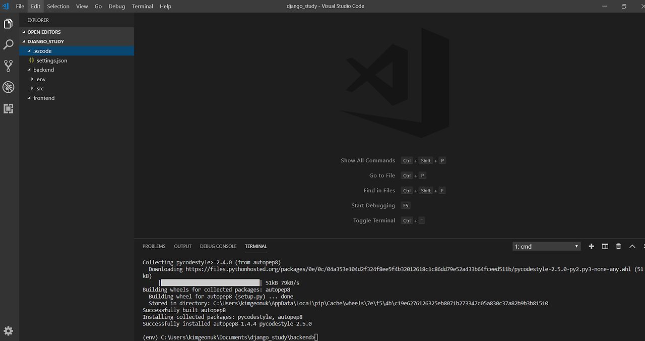 Visual studio code install pil - battlejza