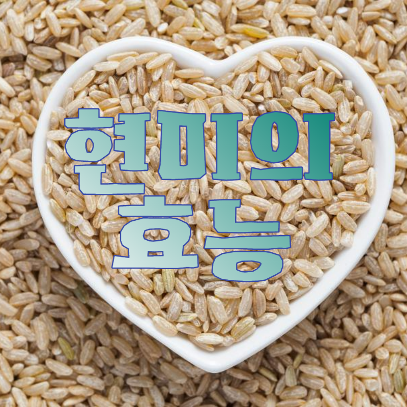 현미의 효능 영양성분 먹는법 부작용