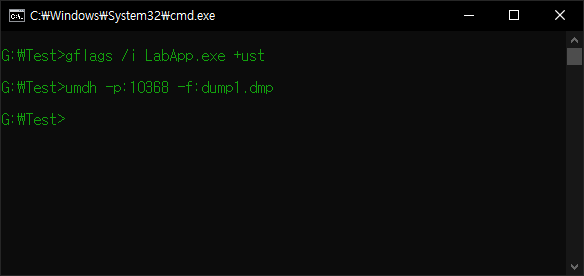 Software Engineer :: Detecting a Heap Memory Leak in a Process 힙 메모리 누수 확인
