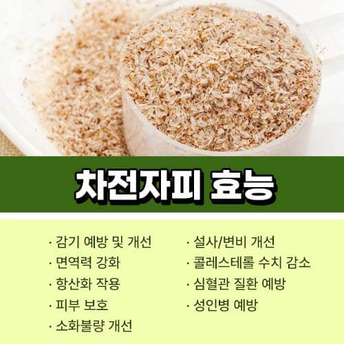 체지방 줄이는 법 차전자피 효능 부작용 캡슐 가루 차 먹는법