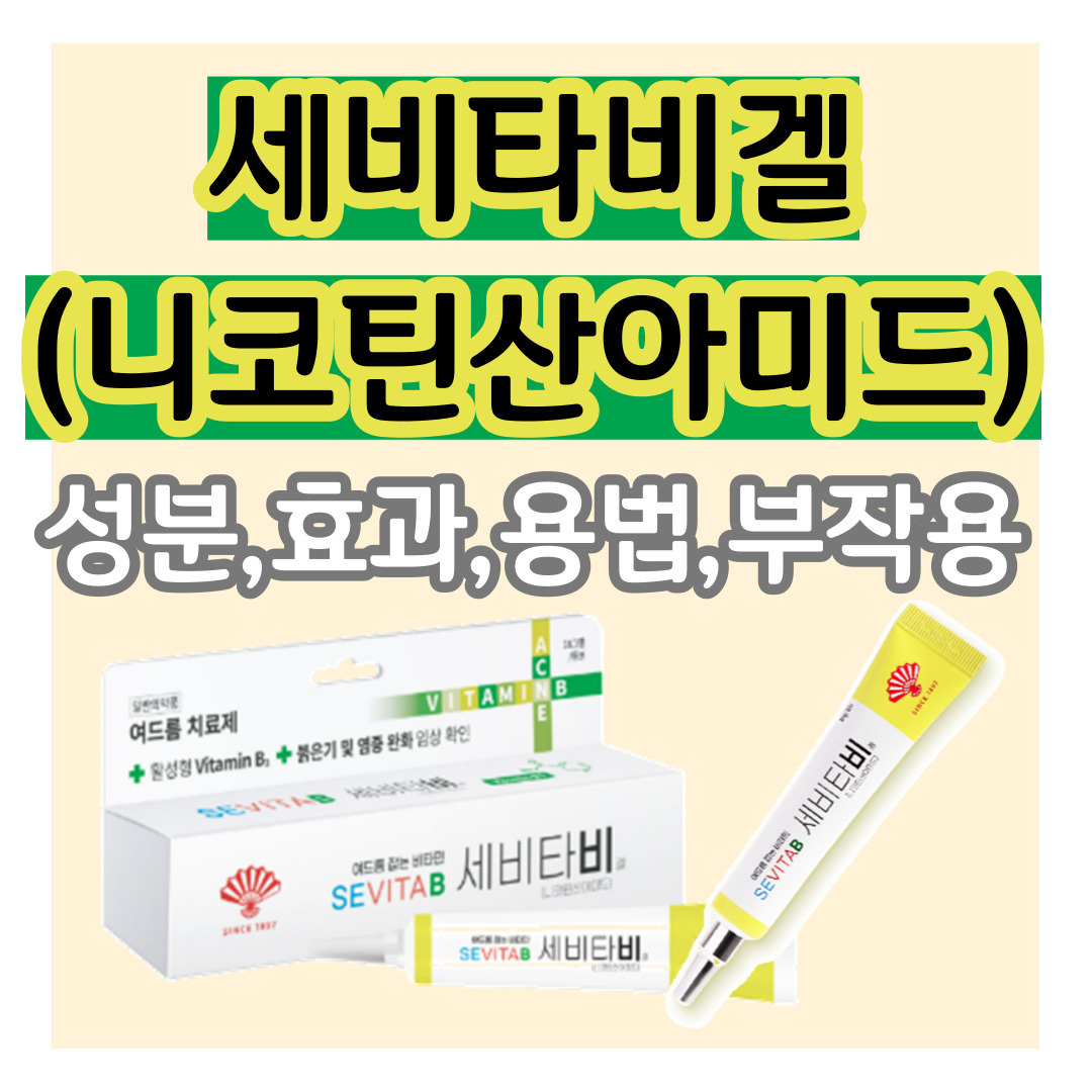 동화약품 세비타비겔니코틴산아미드의 가격 성분 효과 사용법 부작용 주의사항