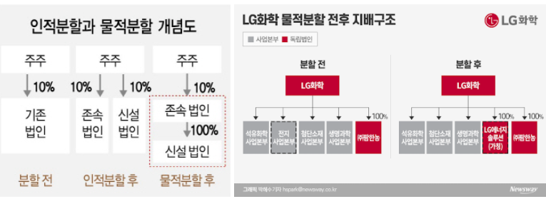 인적분할 물적분할의 차이점 다른점 문제점 기업분할 문제가 되는 이유 Lg화학포스코 예시 등