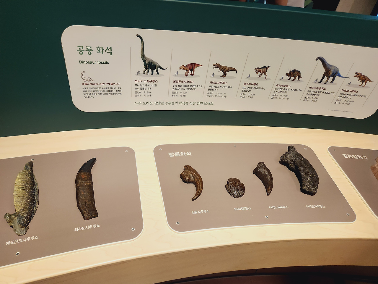 동두천 8개월 아기랑 가볼만한 곳 경기북부어린이박물관 수유실 영유아존 예약방법 할인