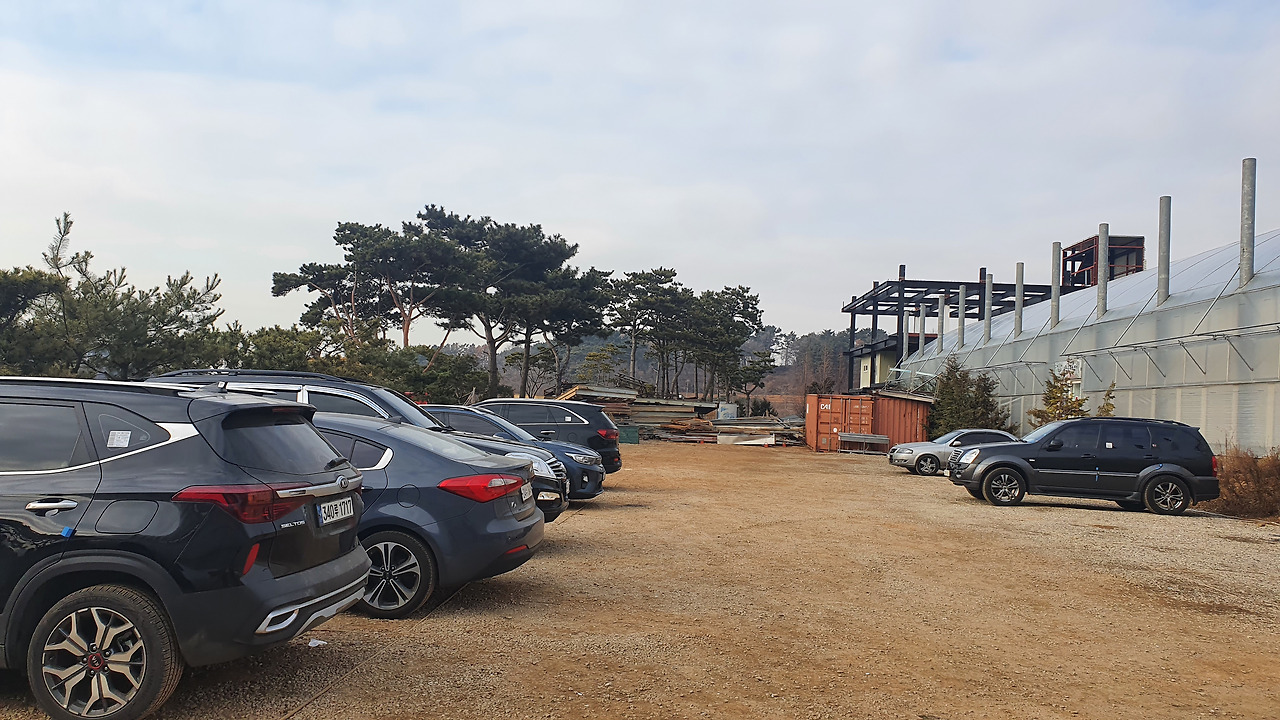 궁평항→국화도→입파도 배시간표 And 나들이추천