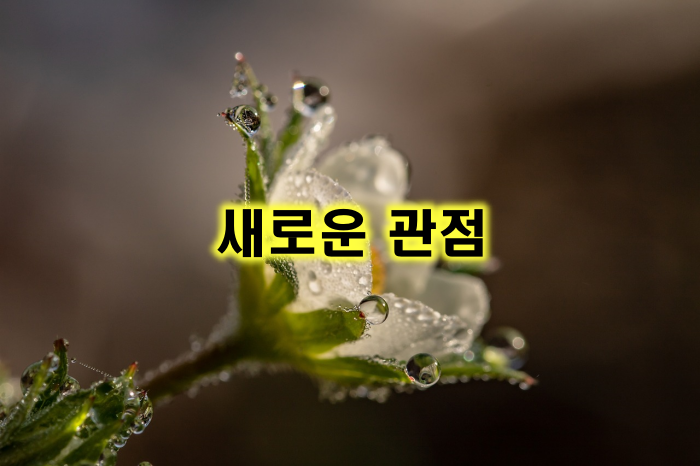 새로운 관점 자신의 인생과 일 삶의 지혜