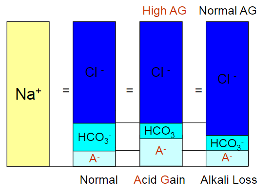 Anion Gap + Delta AG Delta bicarbonate ratio 계산기