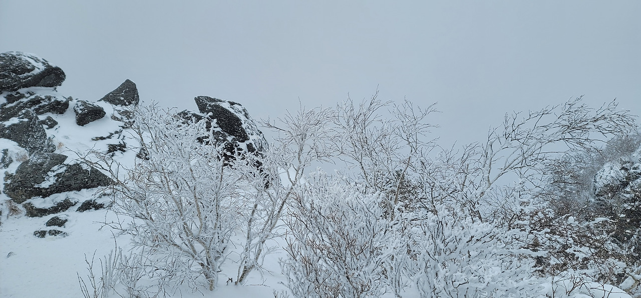 무주 덕유산 구천동 등산코스 덕유산 설경구천동주차장 향적봉 설천봉 곤도라 하산