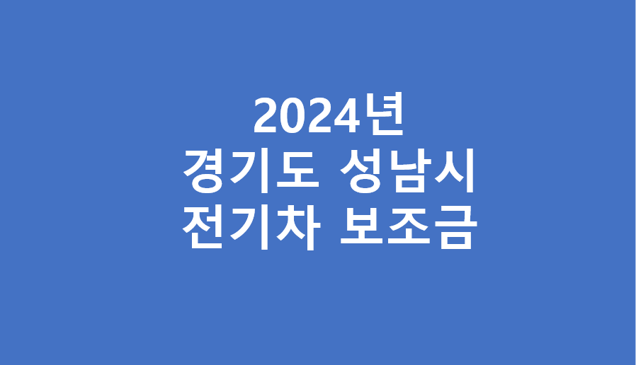 성남시 전기차 보조금 2024년 차종별 현황