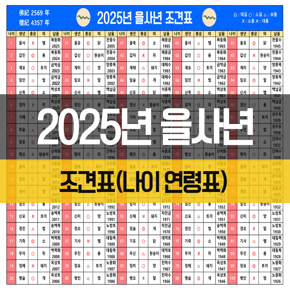 2025년 을사년 푸른 뱀의 해 조견표 단기 2569년 불기 4357년 을사년 나이 연령표