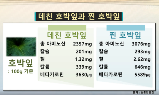 까슬한 느낌이 매력인 호박잎 어떤 효능 있을까 먹는 법