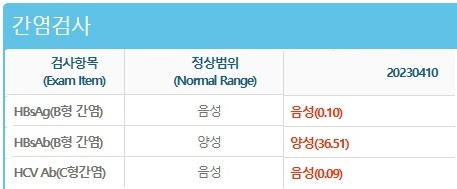 b형간염검사 결과 보는법 (HBsAg HBsAb 음성 양성?)